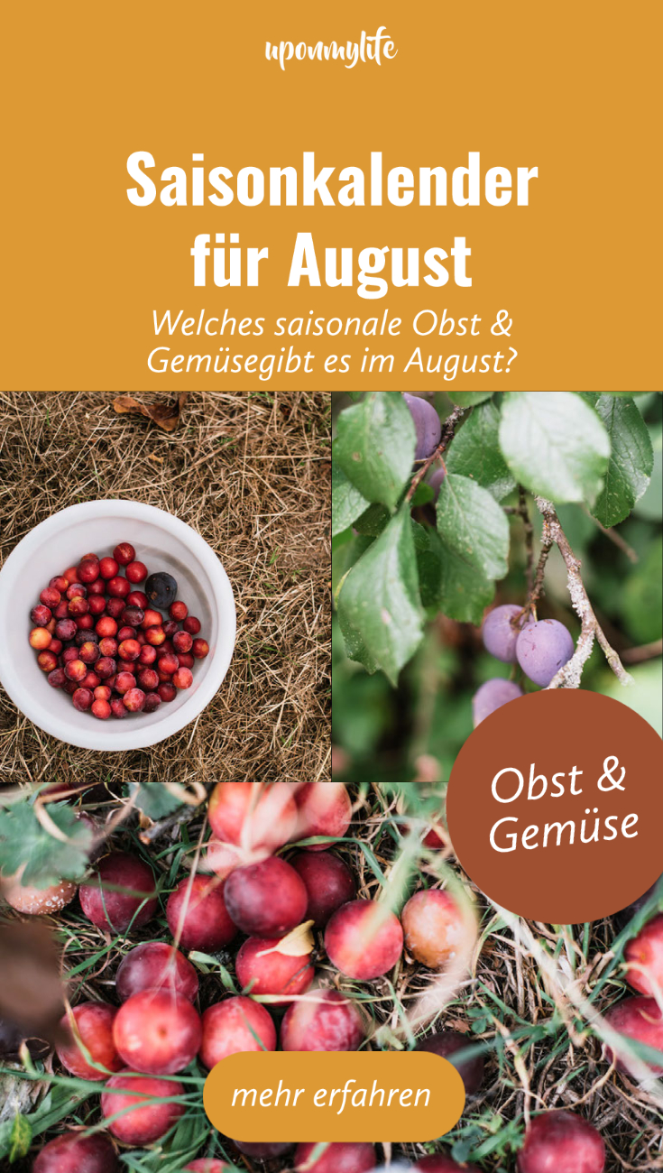 Saisonkalender August: Saisonales Obst und Gemüse im Sommer - Uponmylife