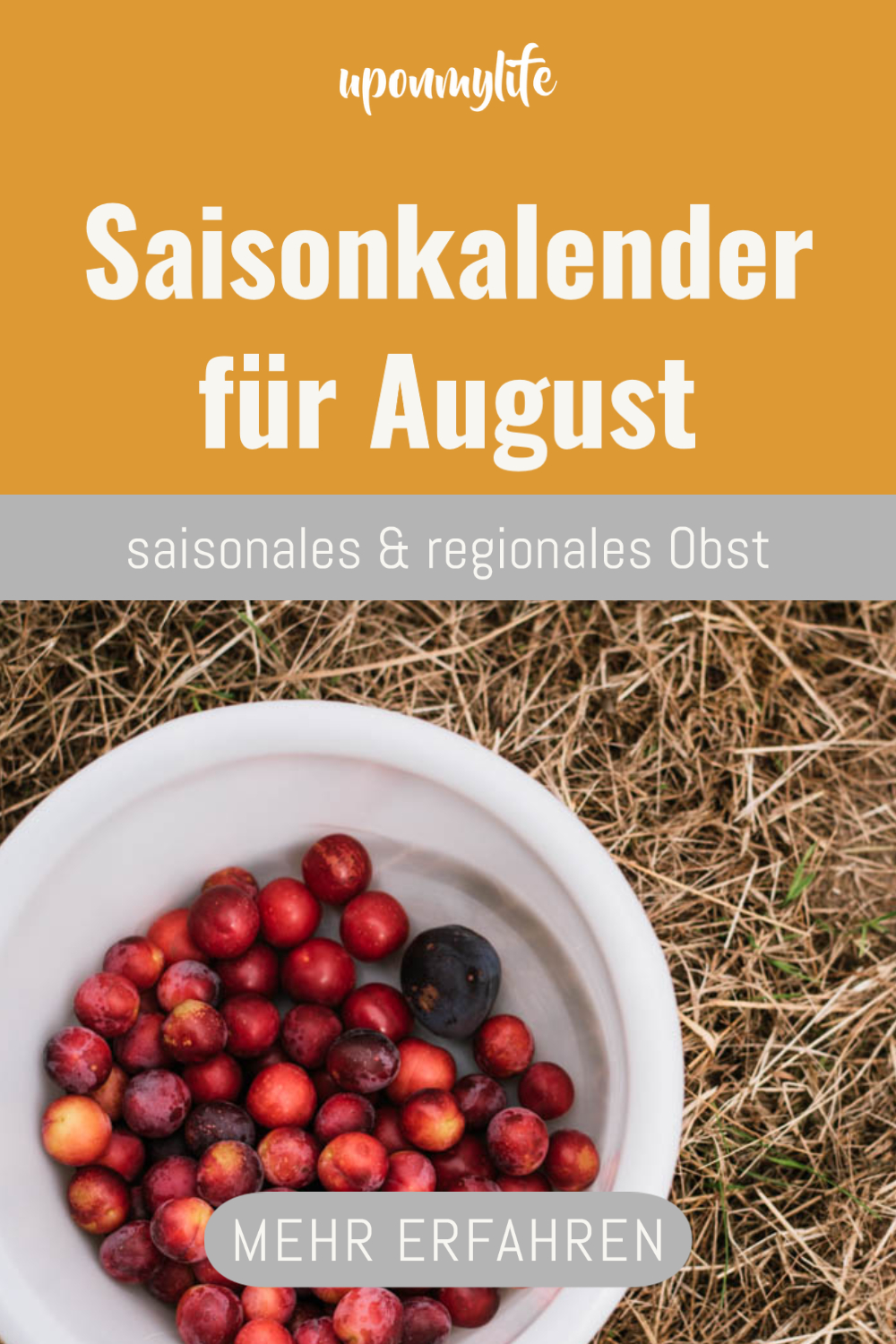Saisonkalender August: Saisonales Obst und Gemüse im Sommer - Uponmylife