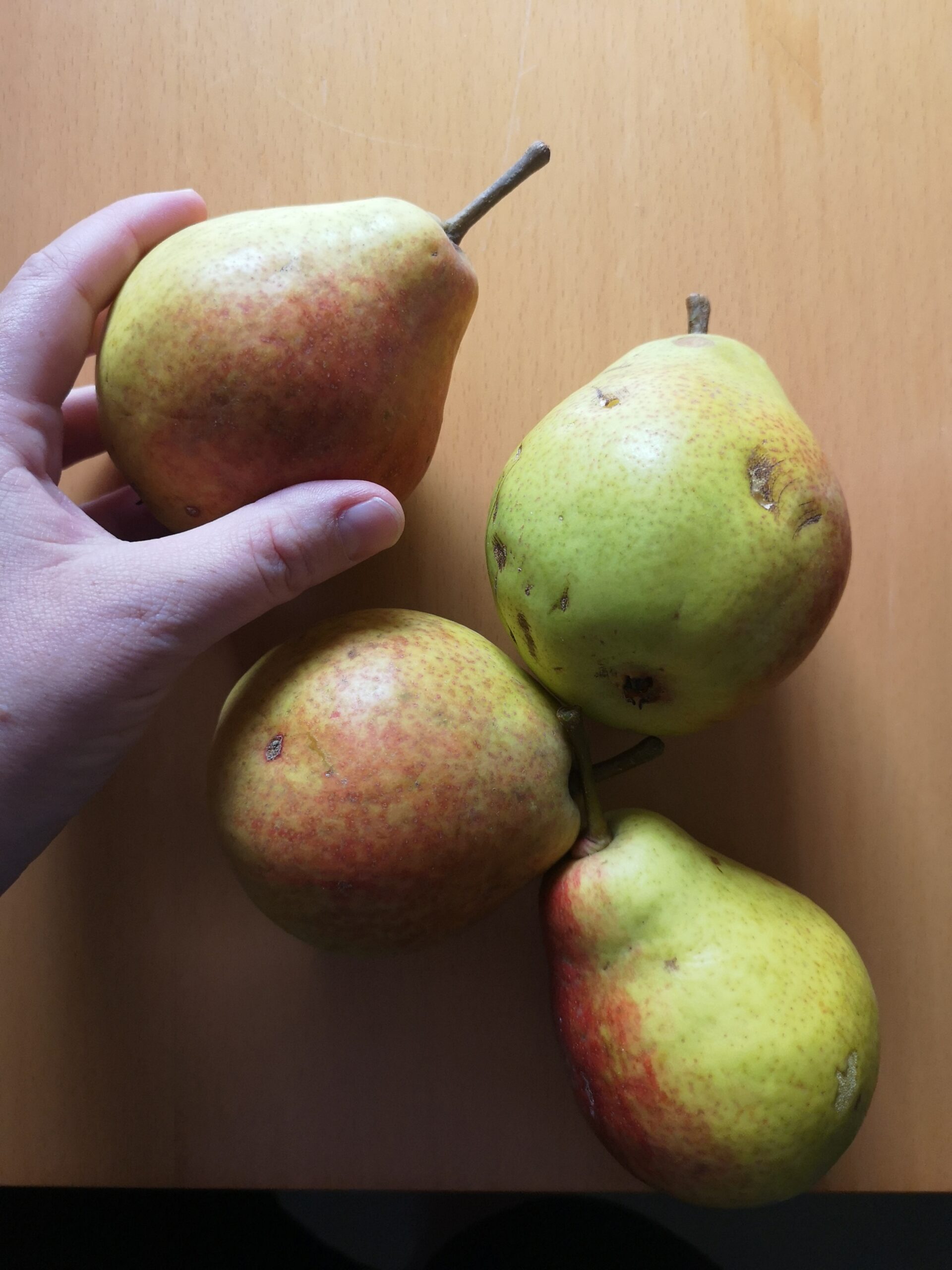 Saisonkalender Januar: Regionales Obst und Gemüse im Winter