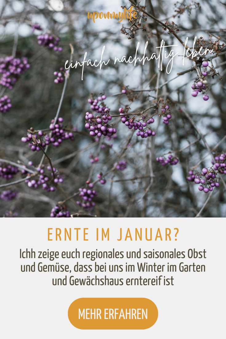 Saisonkalender Januar: Regionales Obst und Gemüse im Winter