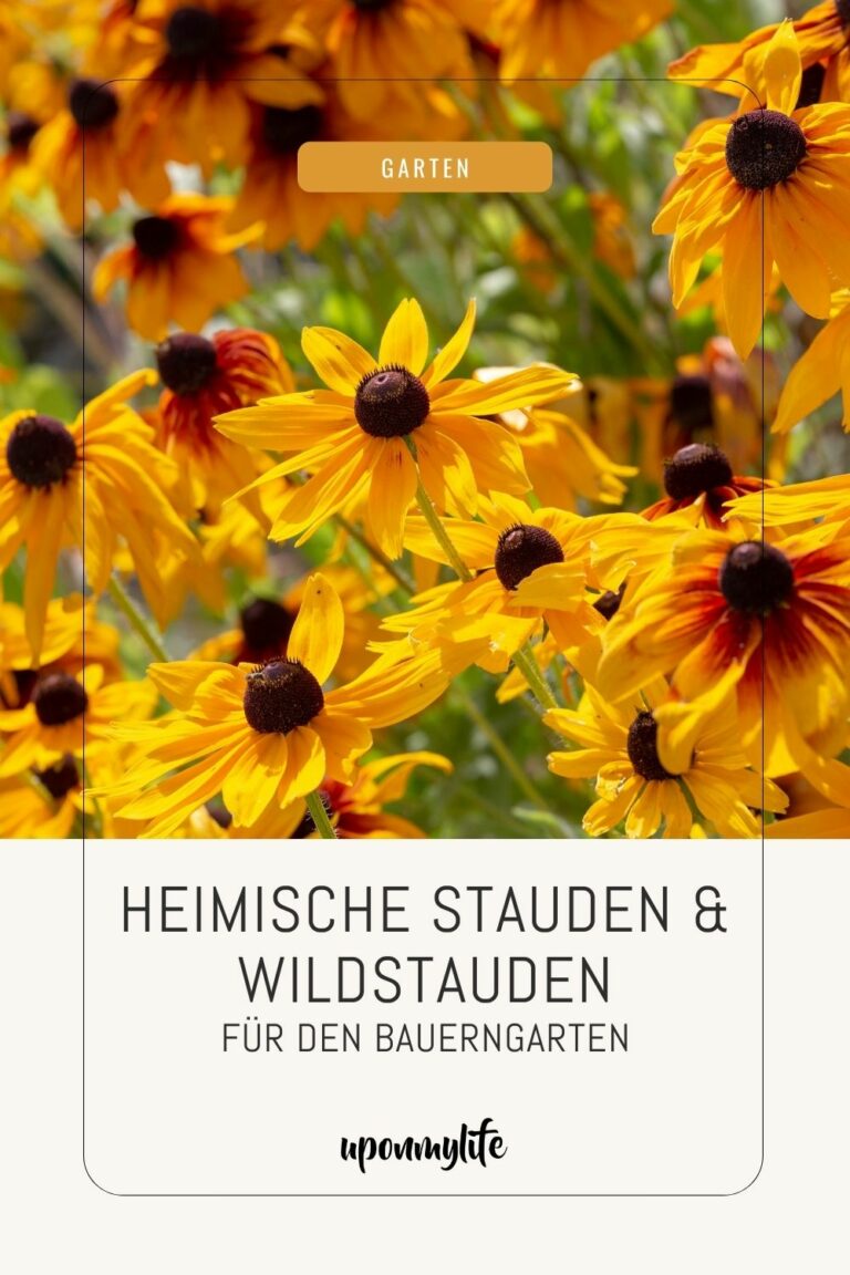 Heimische Stauden für den Bauerngarten - Uponmylife