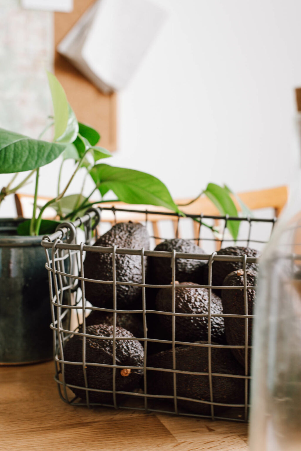 Bio Avocados direkt vom Bauern - Uponmylife