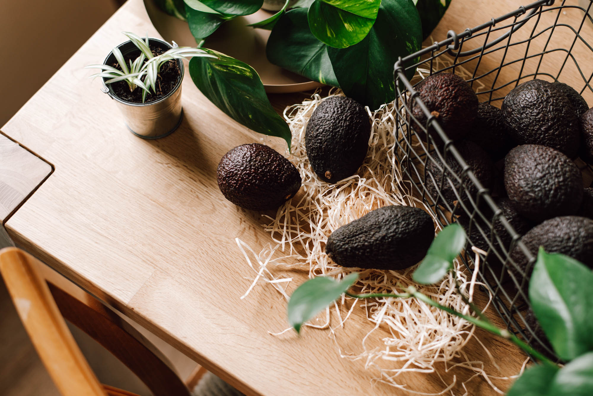 Bio Avocados direkt vom Bauern - Uponmylife