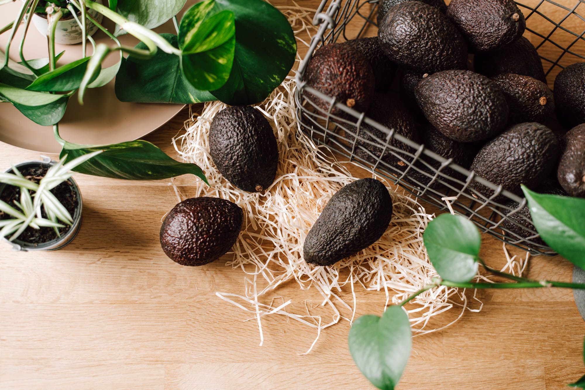 Bio Avocados direkt vom Bauern - Uponmylife