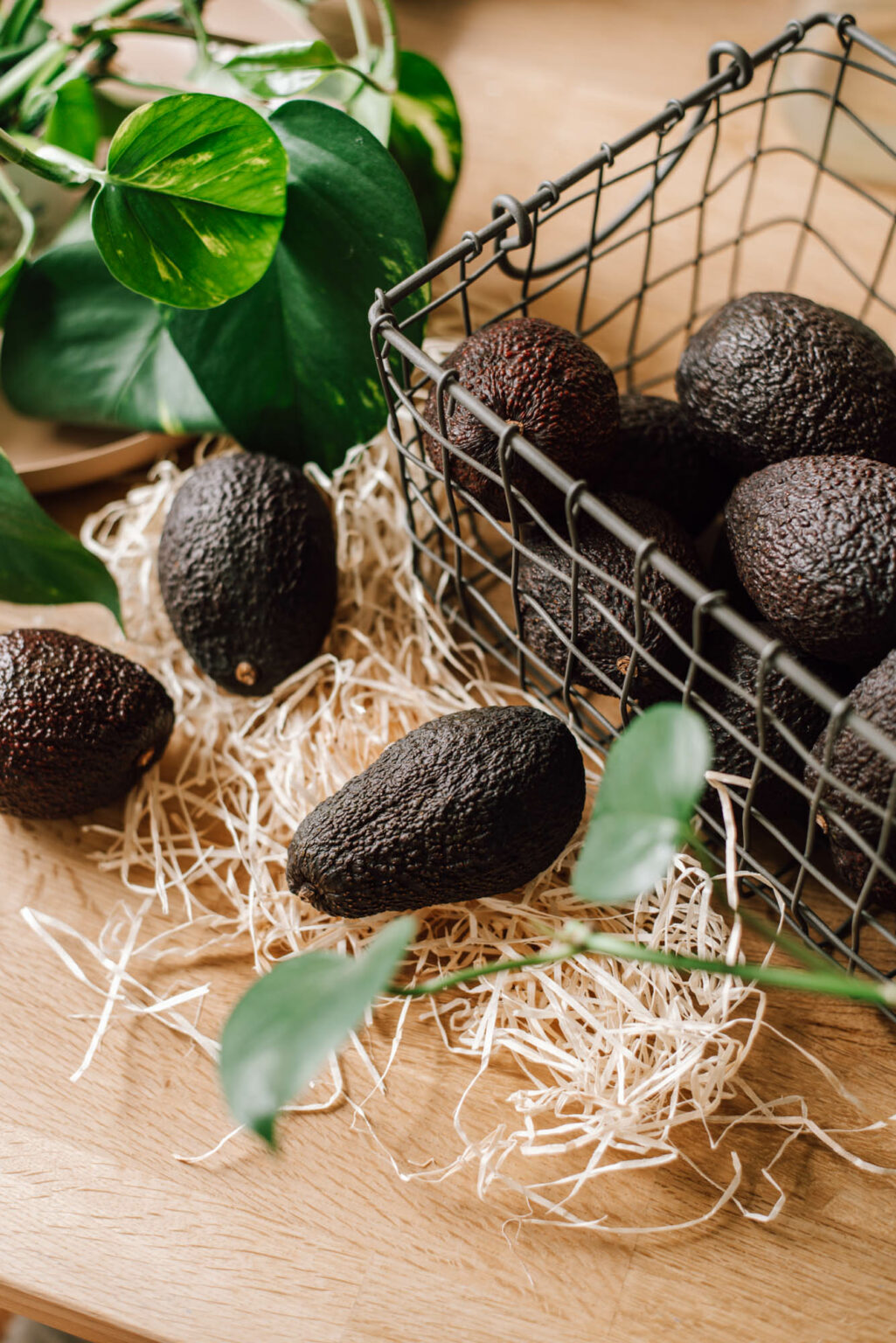 Bio Avocados direkt vom Bauern - Uponmylife