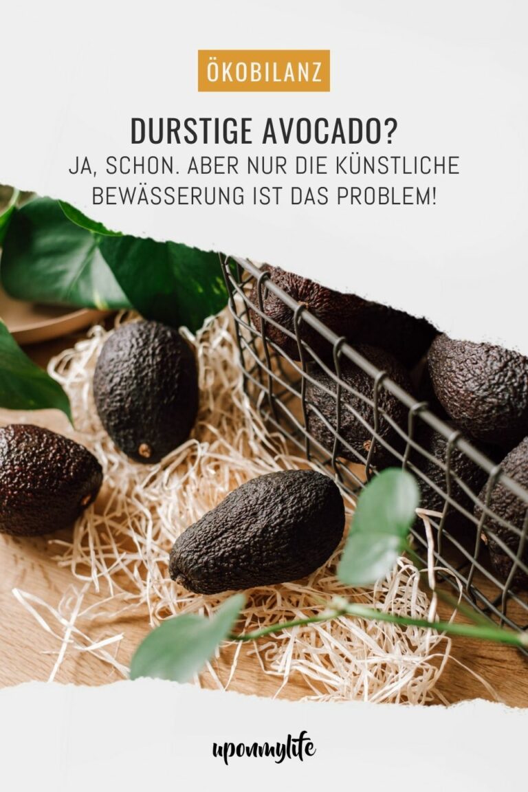 Bio Avocados direkt vom Bauern - Uponmylife