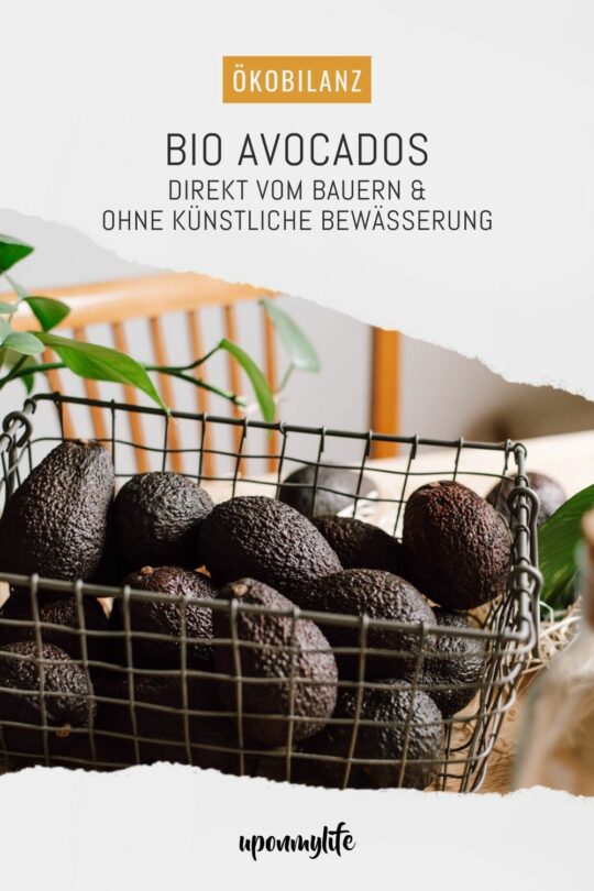 Bio Avocados direkt vom Bauern - Uponmylife