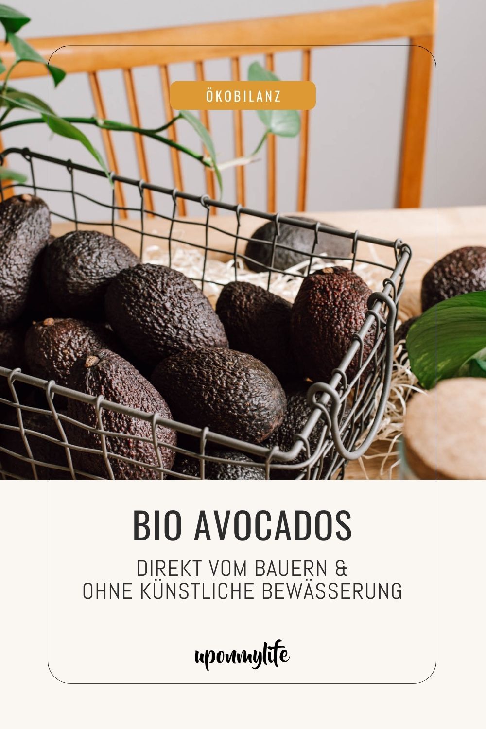 Bio Avocados direkt vom Bauern - Uponmylife